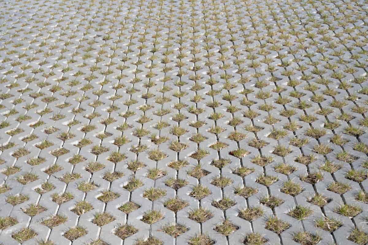 Macam-Macam Ukuran Paving Block dan Tips Memilihnya